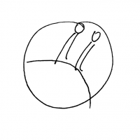 Graphic Survey: Drawing 484